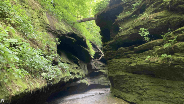Turkey Run State Park (Indiana): Best for Hiking and Fall Activities