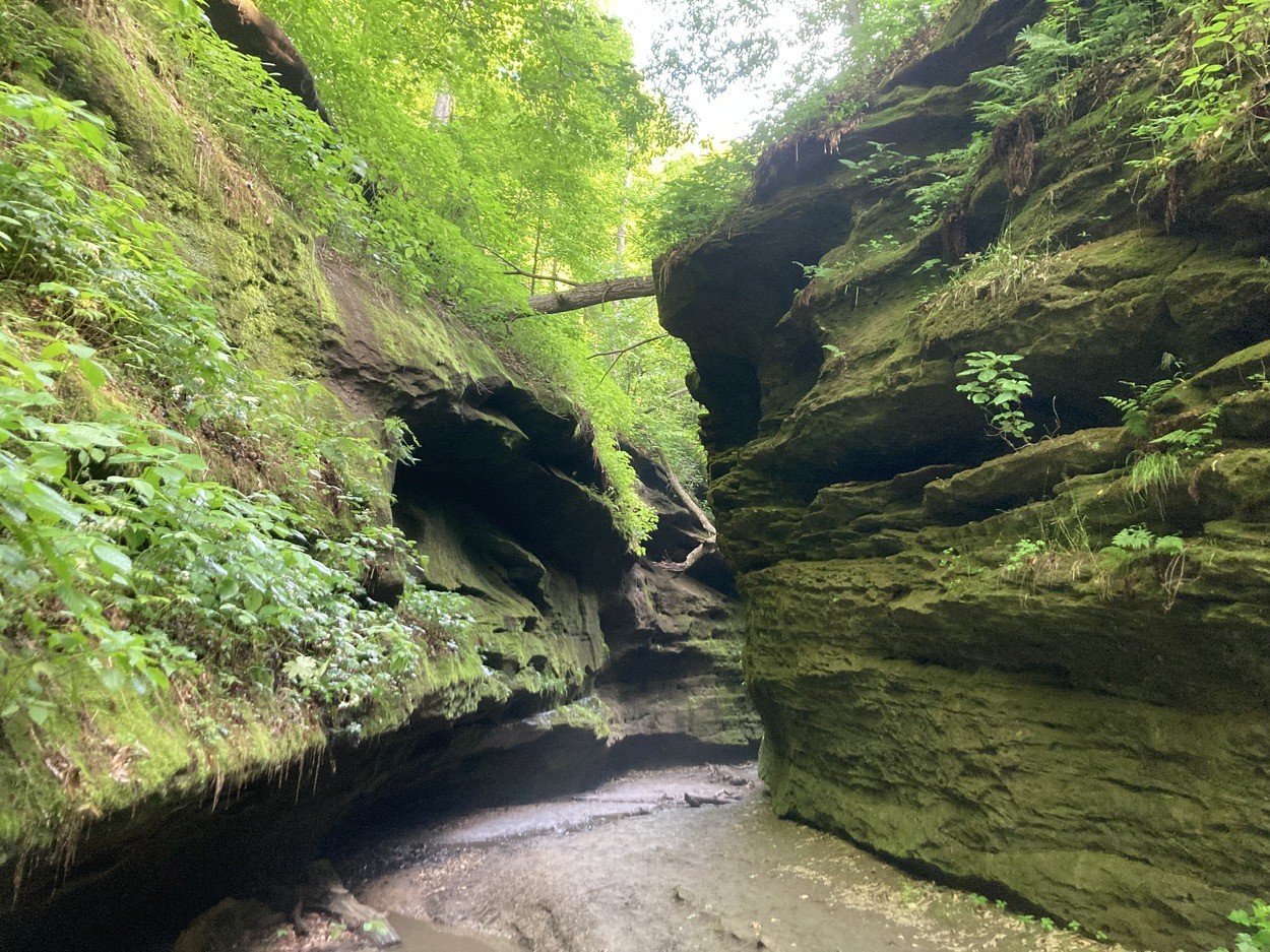 Turkey Run State Park (Indiana): Best for Hiking and Fall Activities